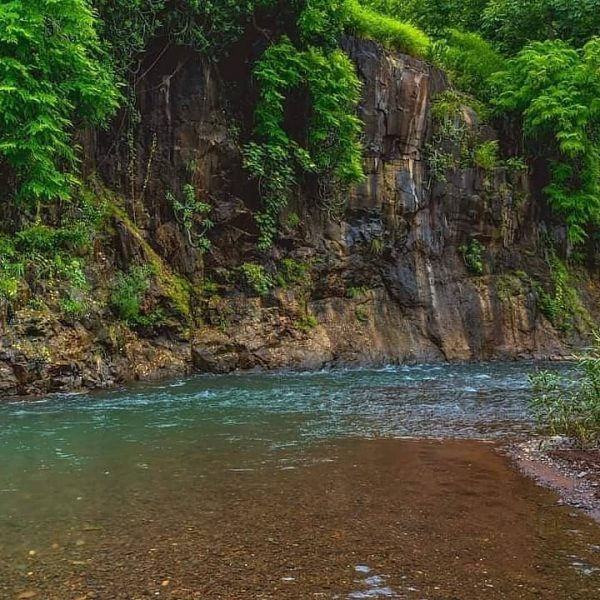 Zarwani Waterfall Timings, Facillities, Tips, How To Reach - Gujarat ...