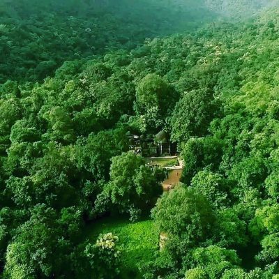 Polo Forest Timings, Tickets, Things To Do, Polo Forest Resorts ...
