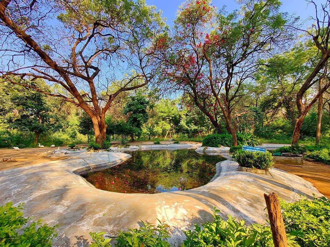 Indroda Nature Park Gandhinagar Timings, Ticket Price, Contact Number ...