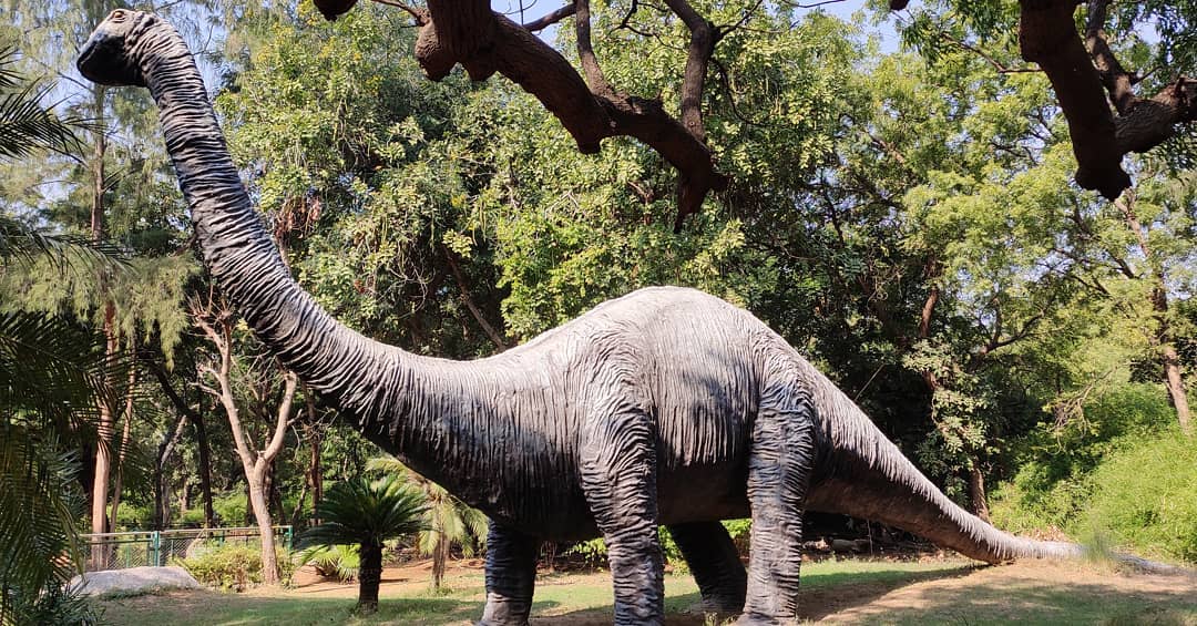 Indroda Nature Park Gandhinagar Timings, Ticket Price, Contact Number ...