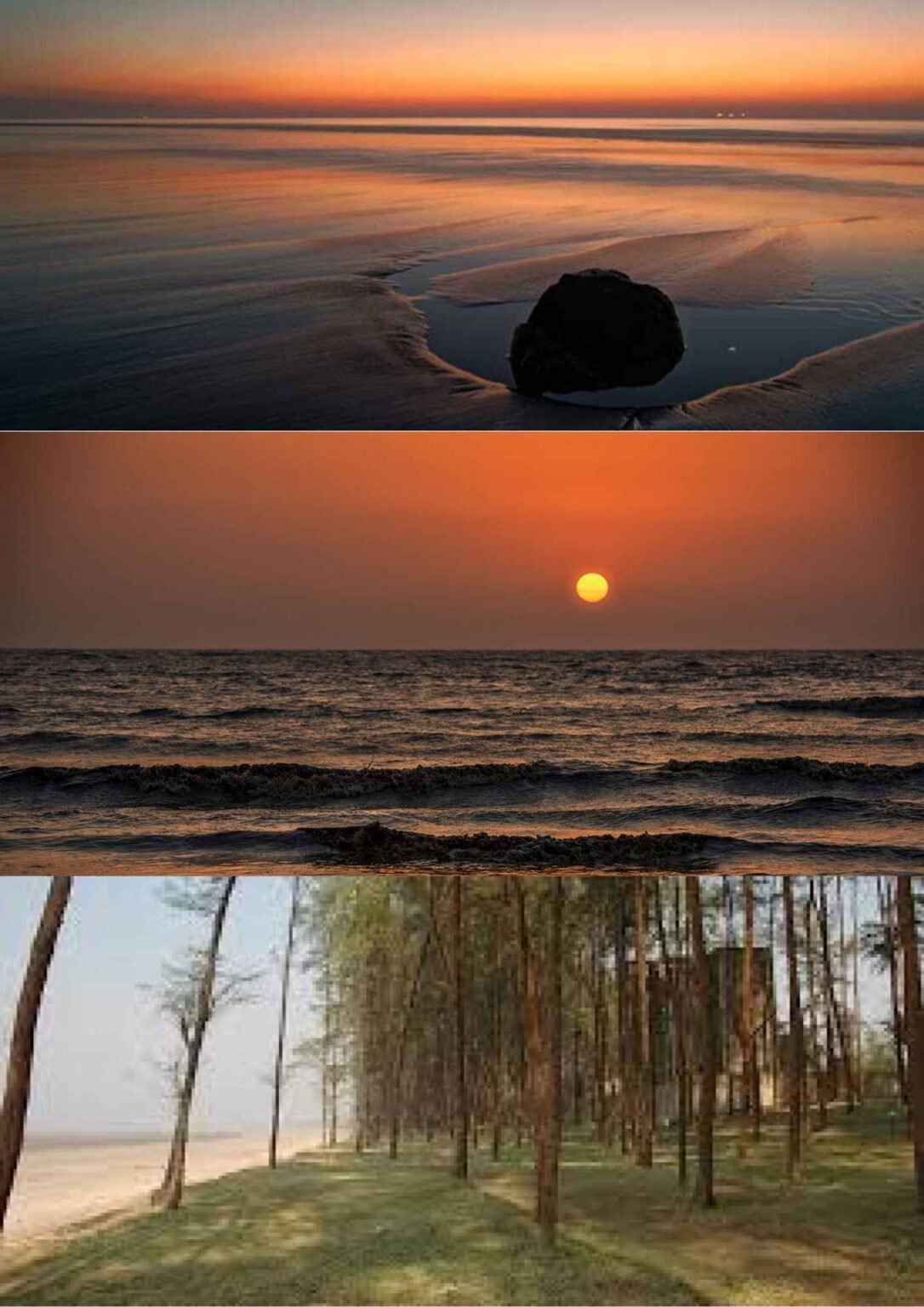 Nargol Beach Valsad Timings, Entry Fee, Best Time To Visit - Gujarat ...